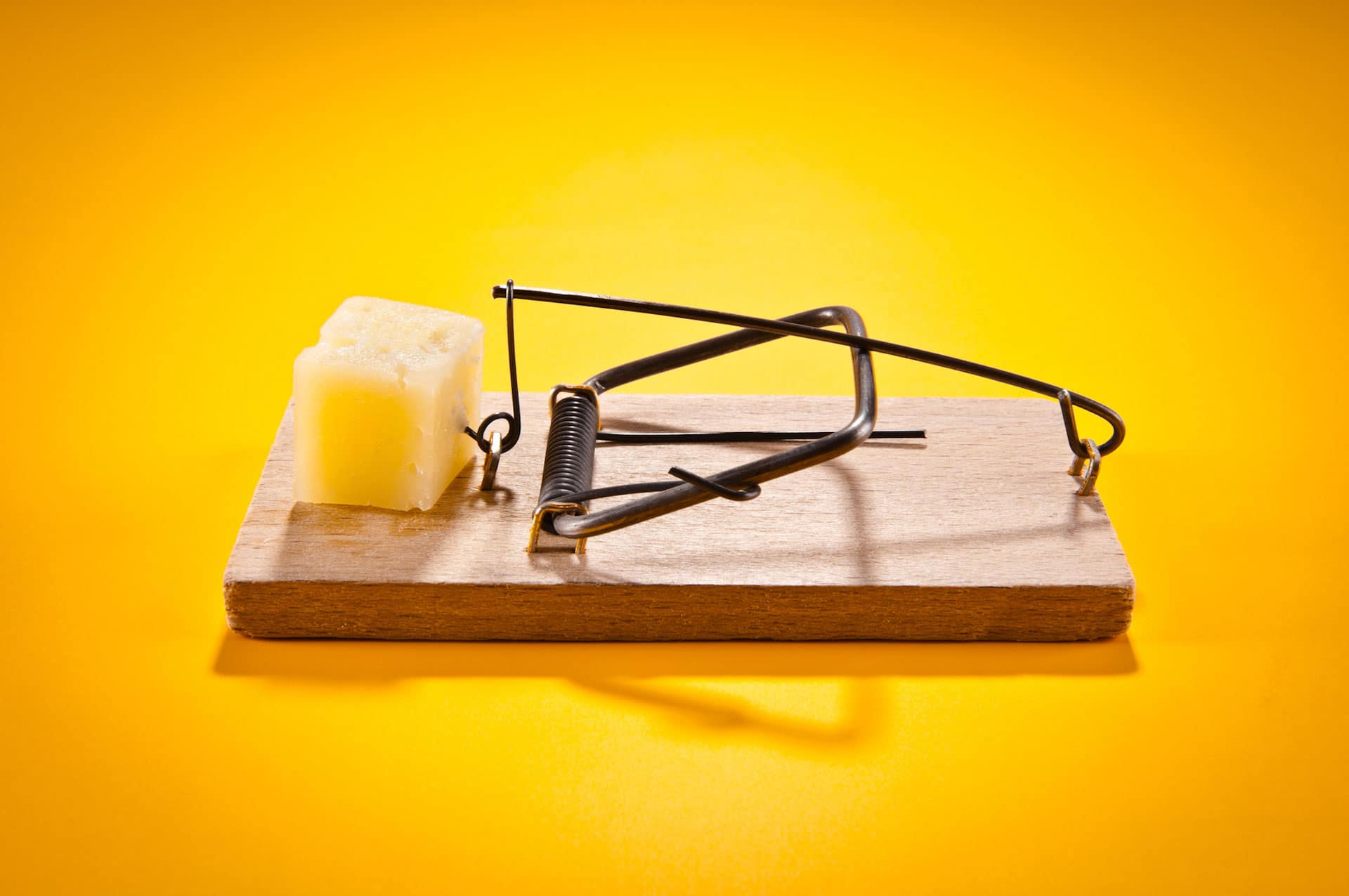 How to Avoid Our Most Common Thought Traps | Full Focus
