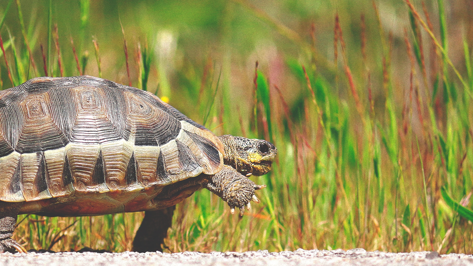 Slow That Decision Down | Full Focus