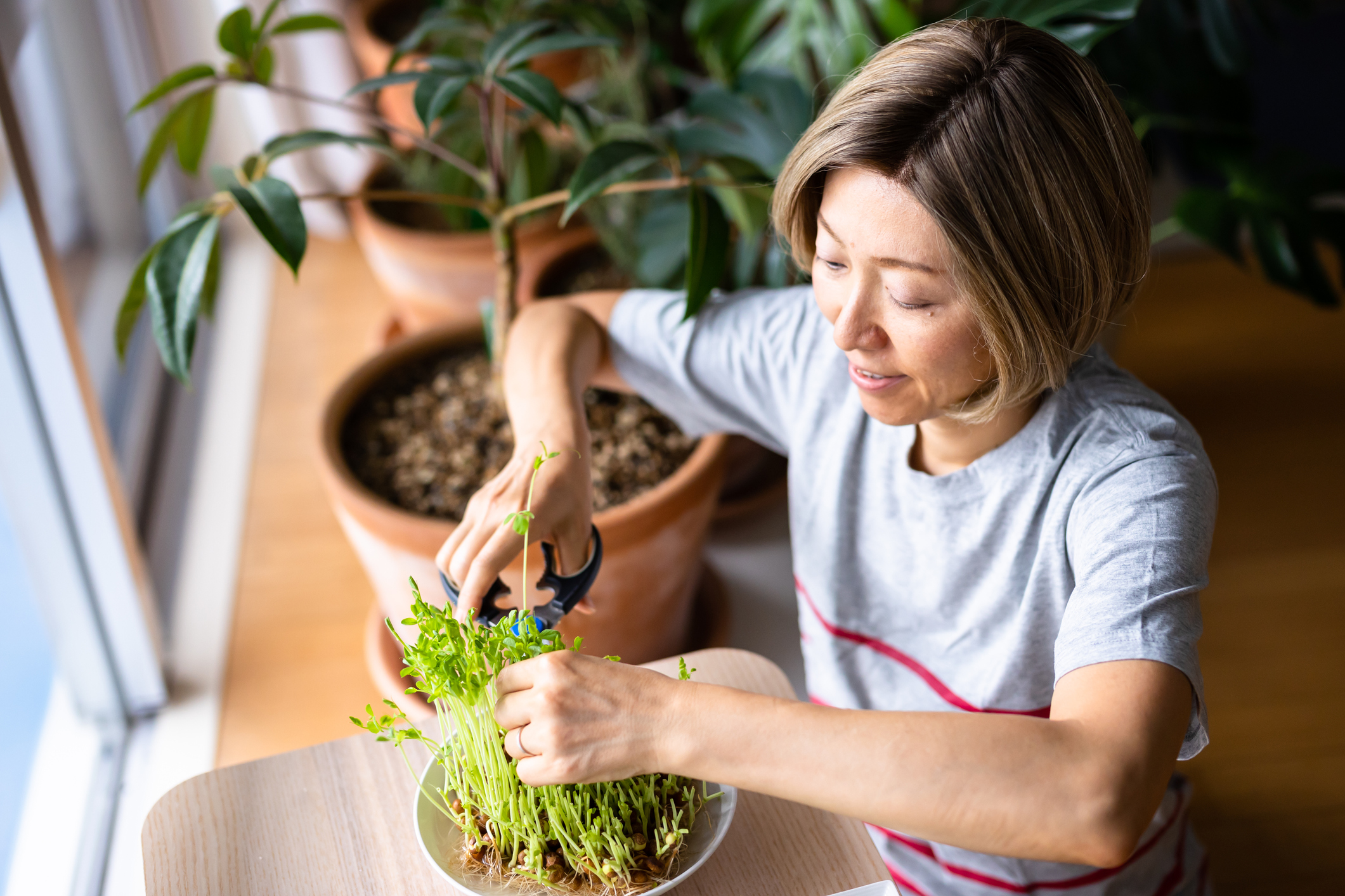 Why You Need White Space | Full Focus